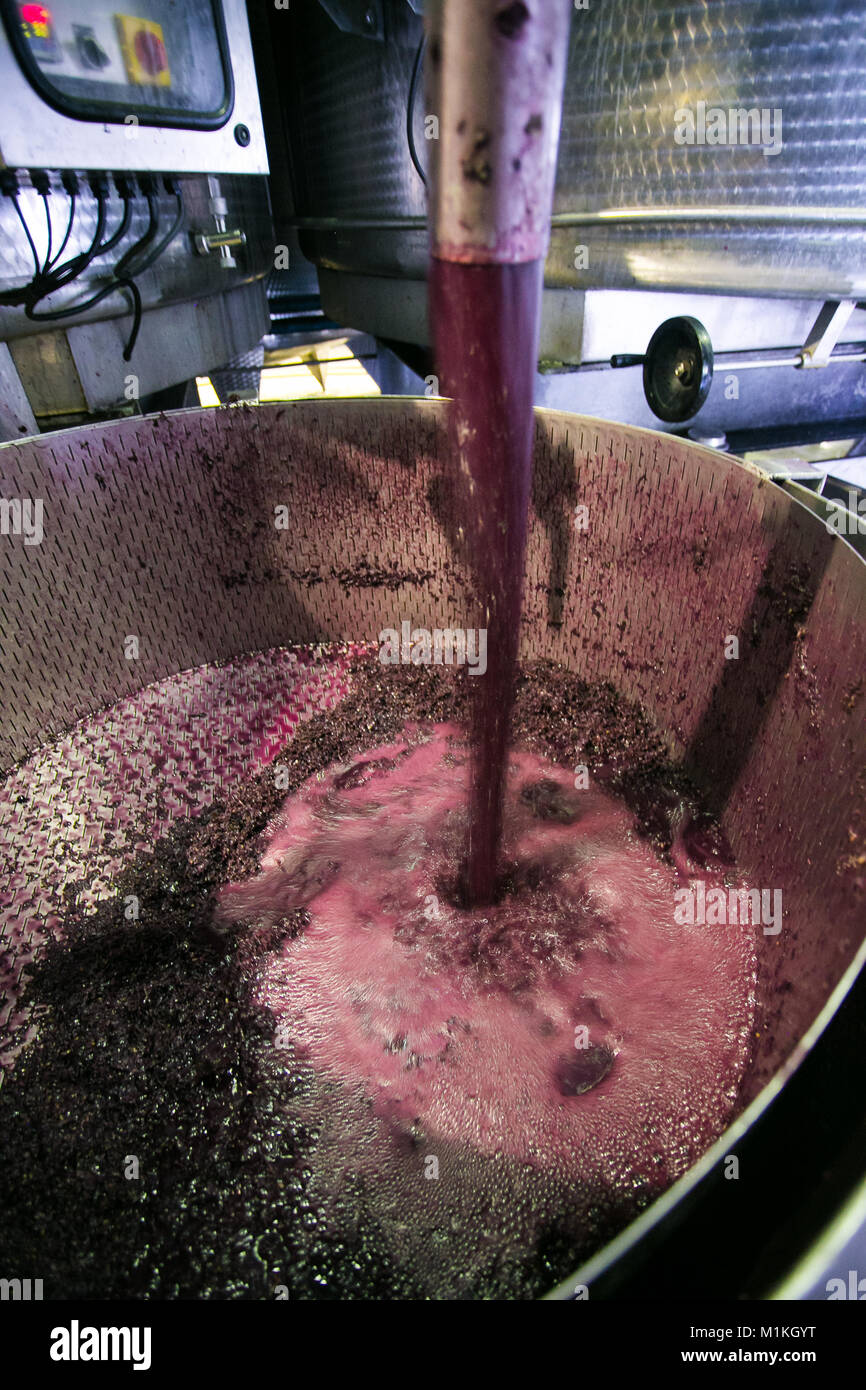 Red Wine Maceration | Maceration Considerations – ZLJP