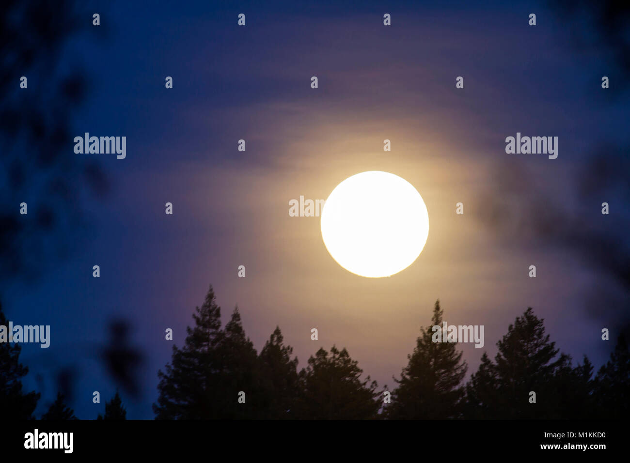 Felton, USA. 30th Jan, 2018. Santa Cruz, California, USA, January 30 ...