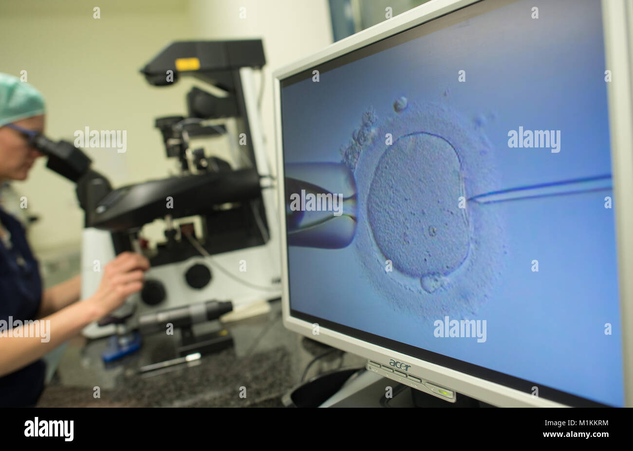 Intracytoplasmic sperm injection hi-res stock photography and images ...