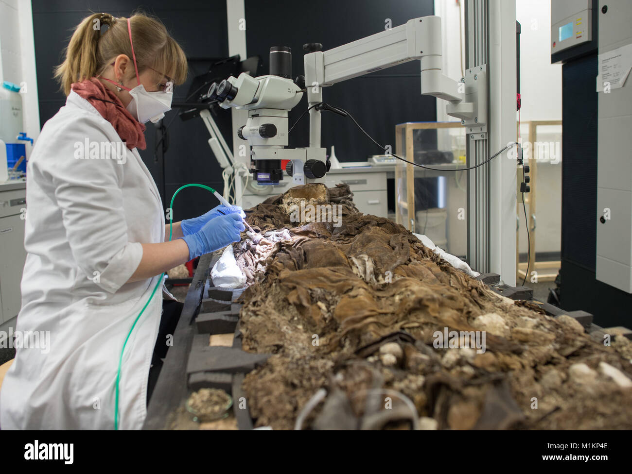 The textile restorator Friederike Leibe cleans the robe draped over the ...