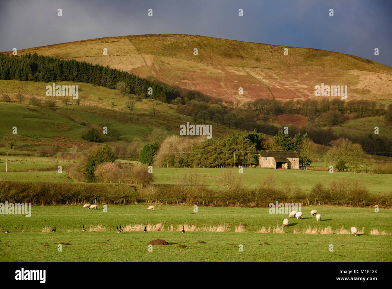 Whitewell, Clitheroe, Lancashire, UK. 31st January, 2018. Stone barn ...