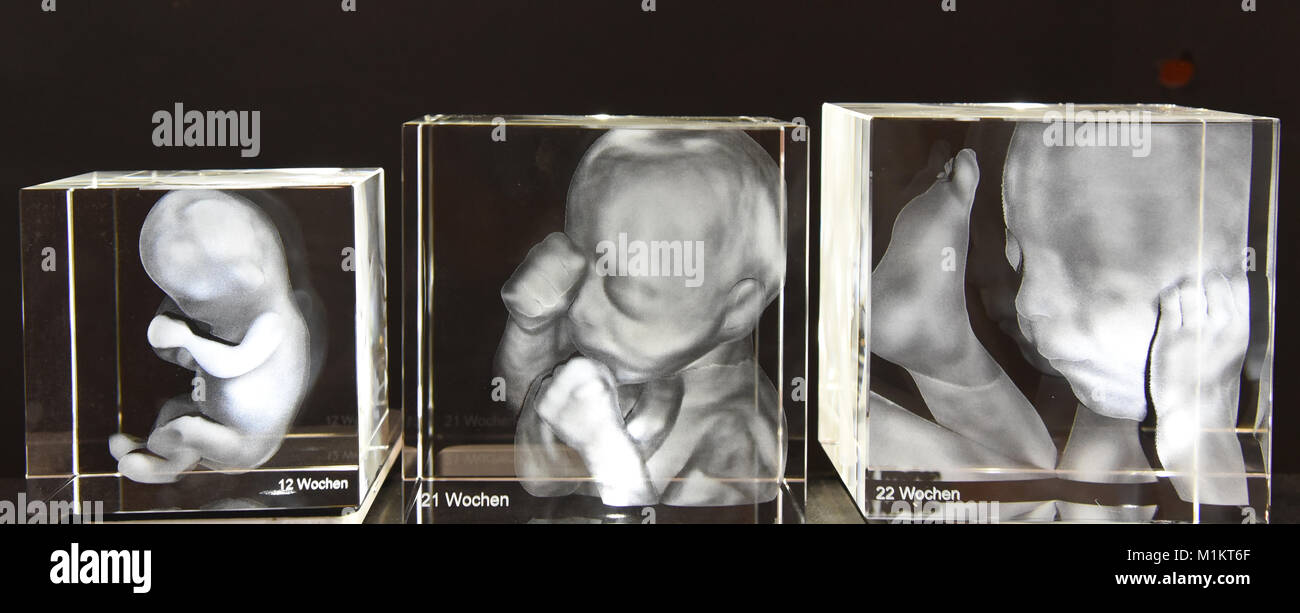 3D glass cubes with sculptural depictions of babies in the 12th, the ...