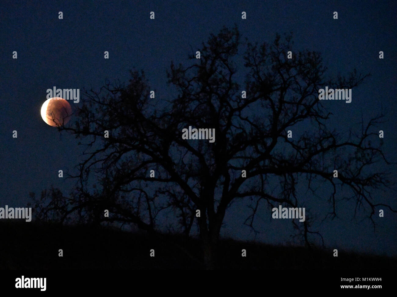 Valencia, California, USA. 31st January, 2018. The super blood blue ...