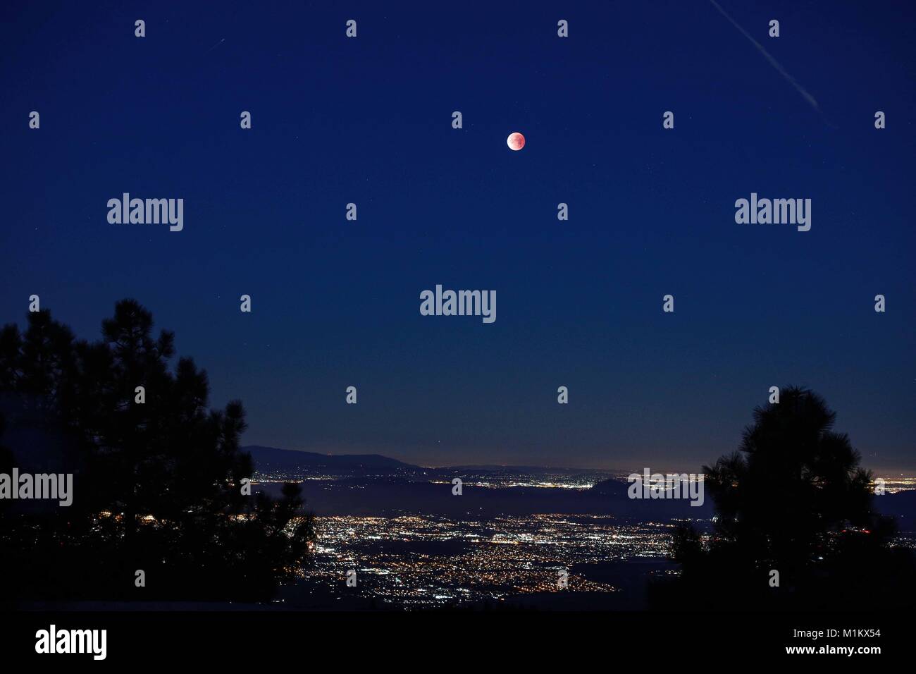 Ruby murray hi-res stock photography and images - Alamy