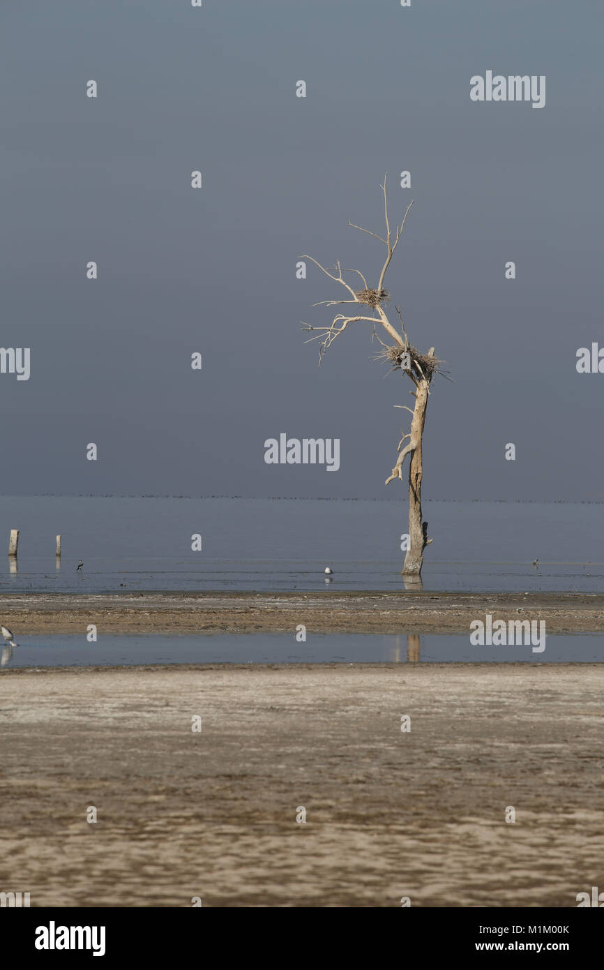 Dead sea fault hi-res stock photography and images - Alamy