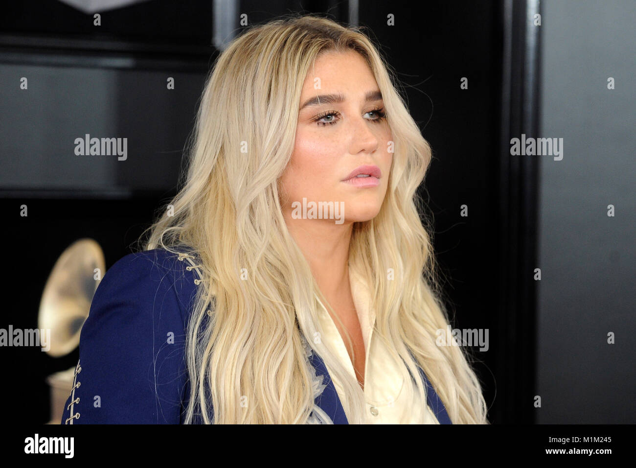 Kesha attends the 60th Annual Grammy Awards 2018 at Madison Square ...