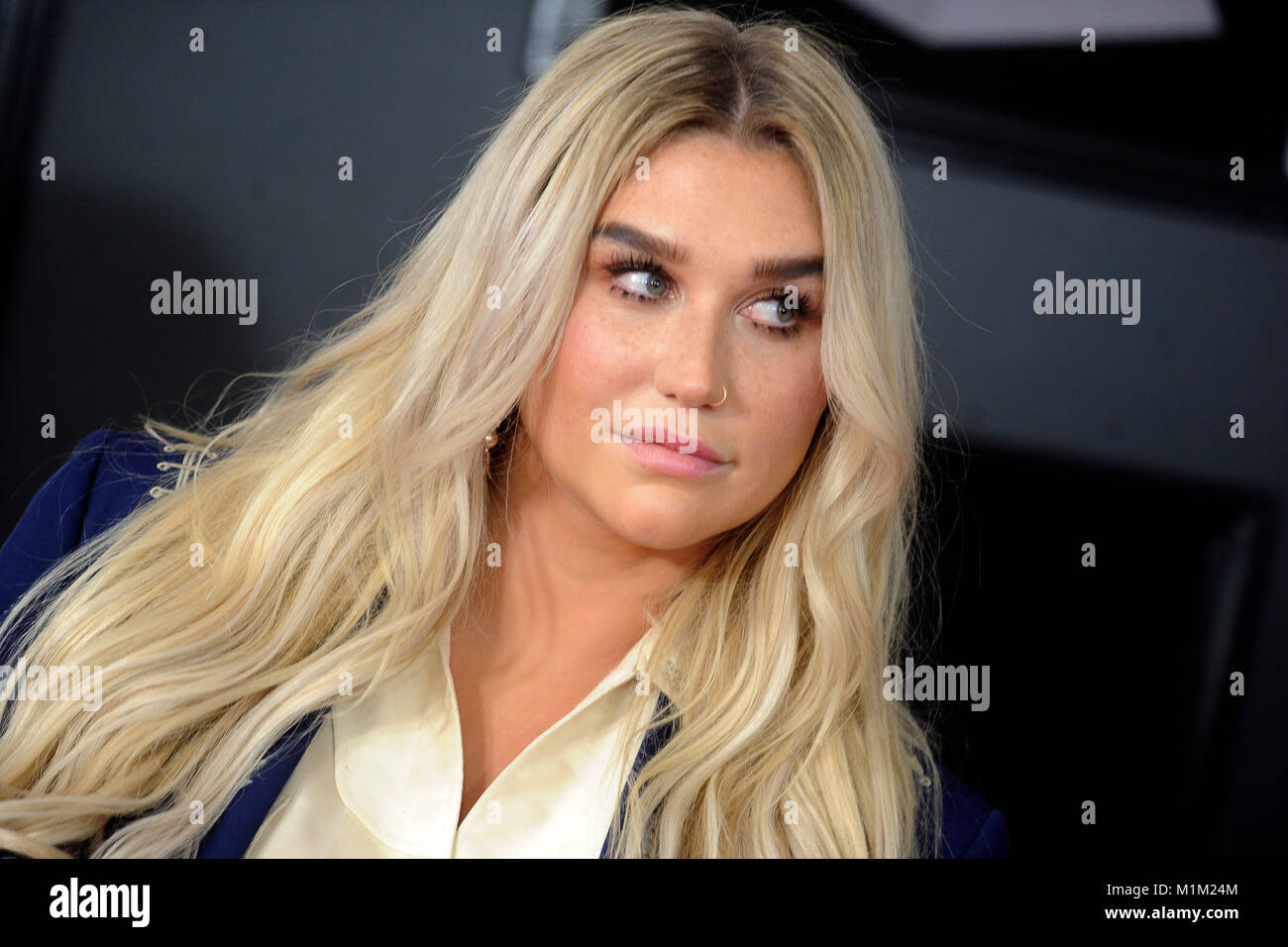 Kesha grammy hi-res stock photography and images - Alamy