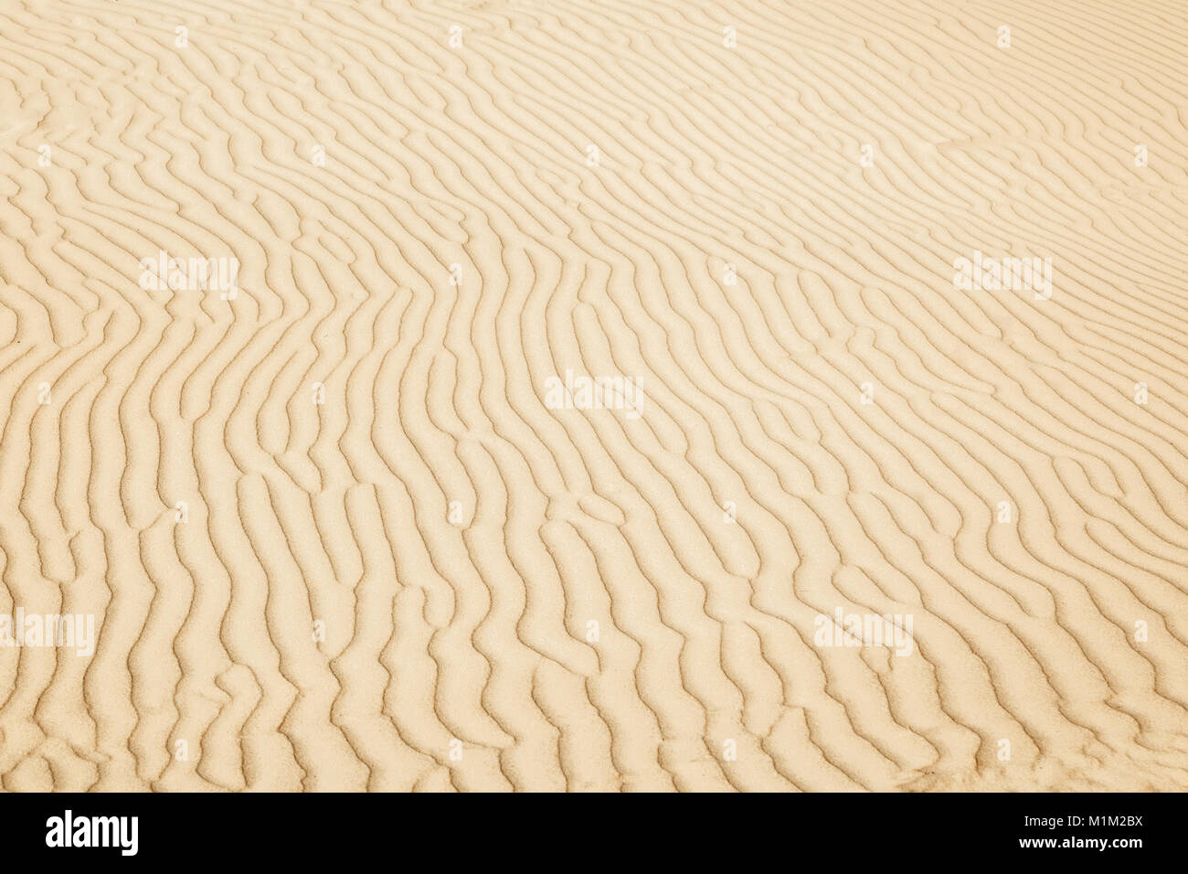 Texture of sea sand. Closeup. The sandy background Stock Photo - Alamy