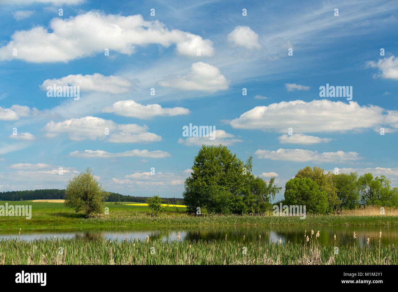 Beautiful spring landscape with small pond. Europe highland countryside ...