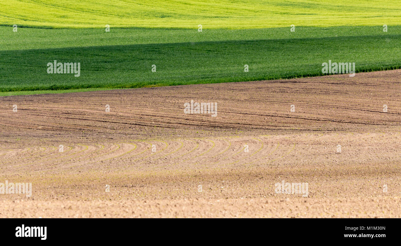 Beautiful color spring rural agriculture landscape field, highland ...