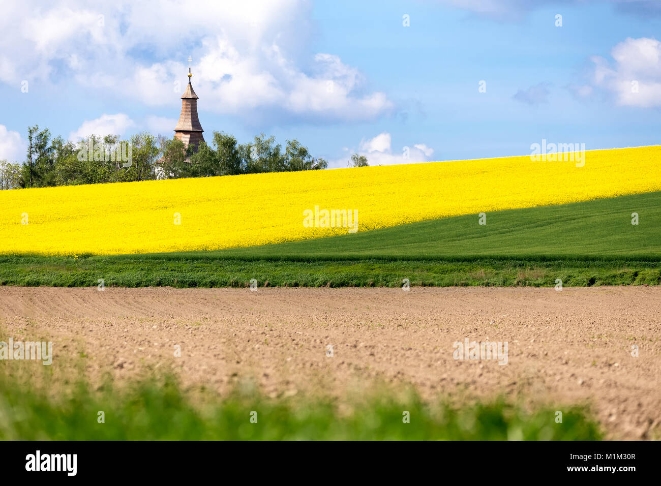 Beautiful spring rural agriculture landscape with small church, rape ...