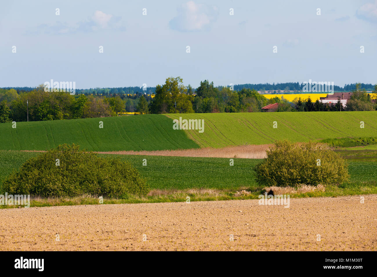Beautiful spring rural agriculture landscape. Europe highland Stock ...
