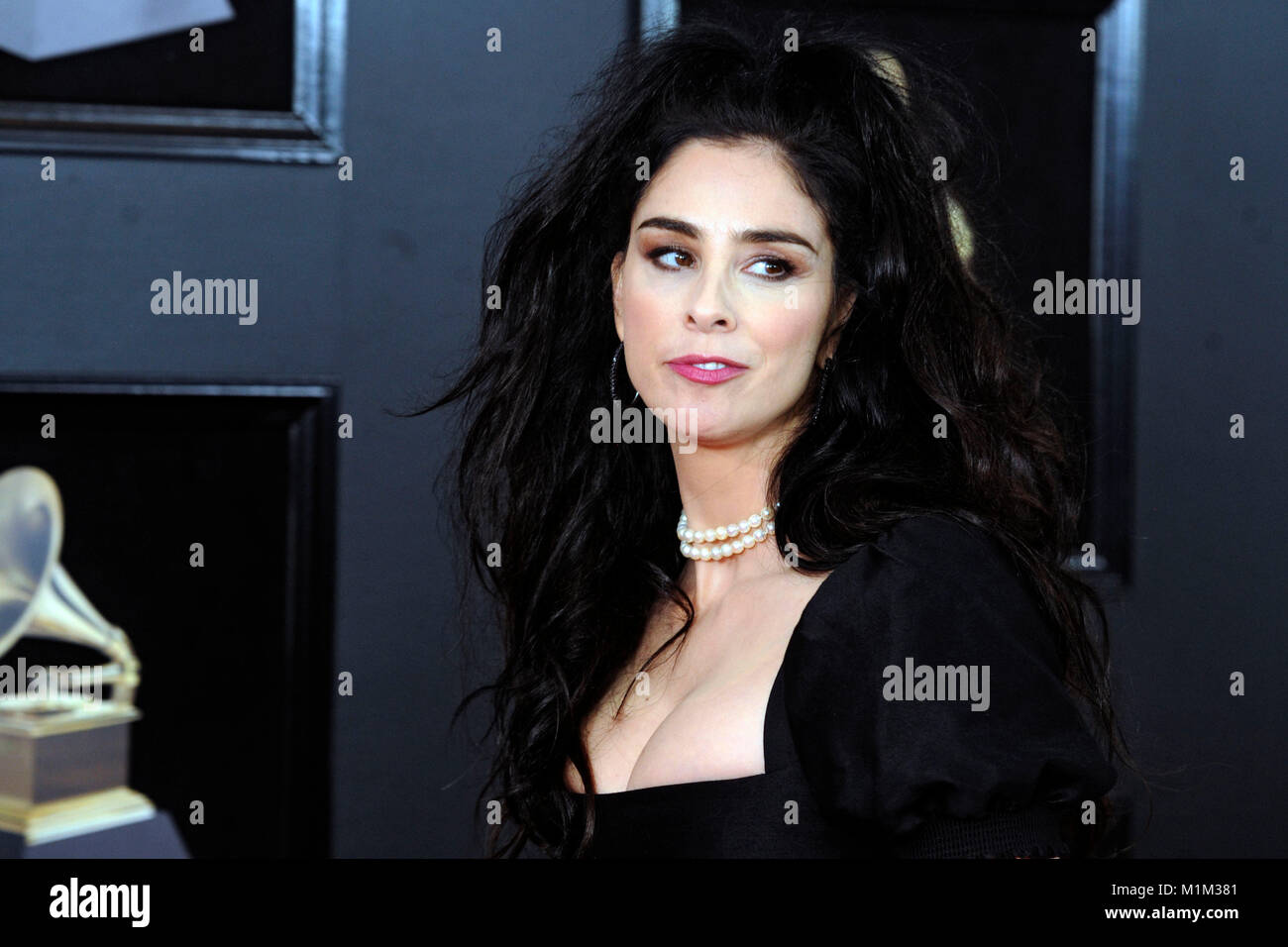 Sarah Silverman attends the 60th Annual Grammy Awards 2018 at Madison ...