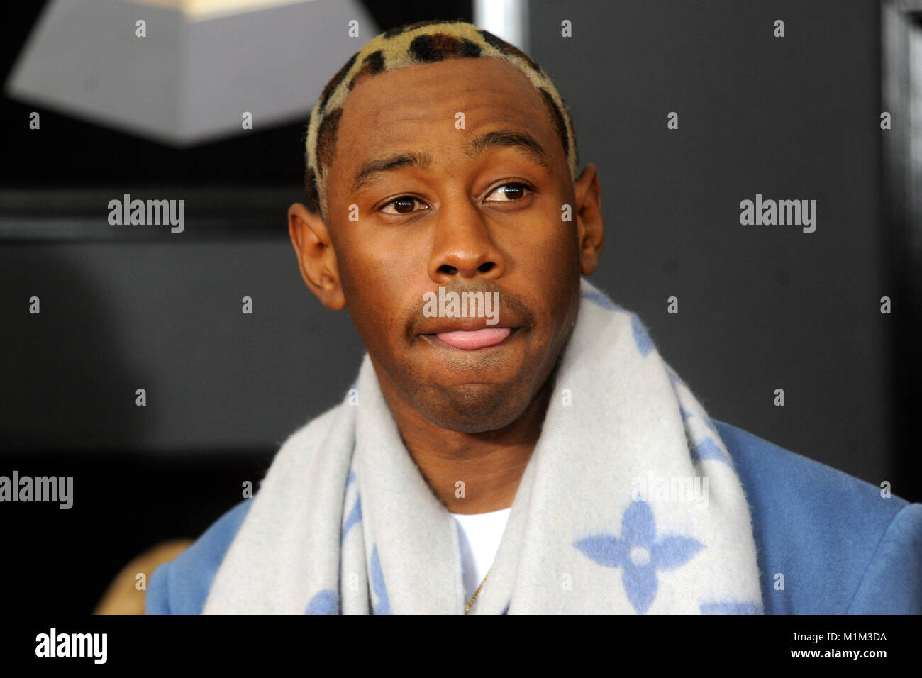 Tyler the Creator attends the 60th Annual Grammy Awards 2018 at Madison ...