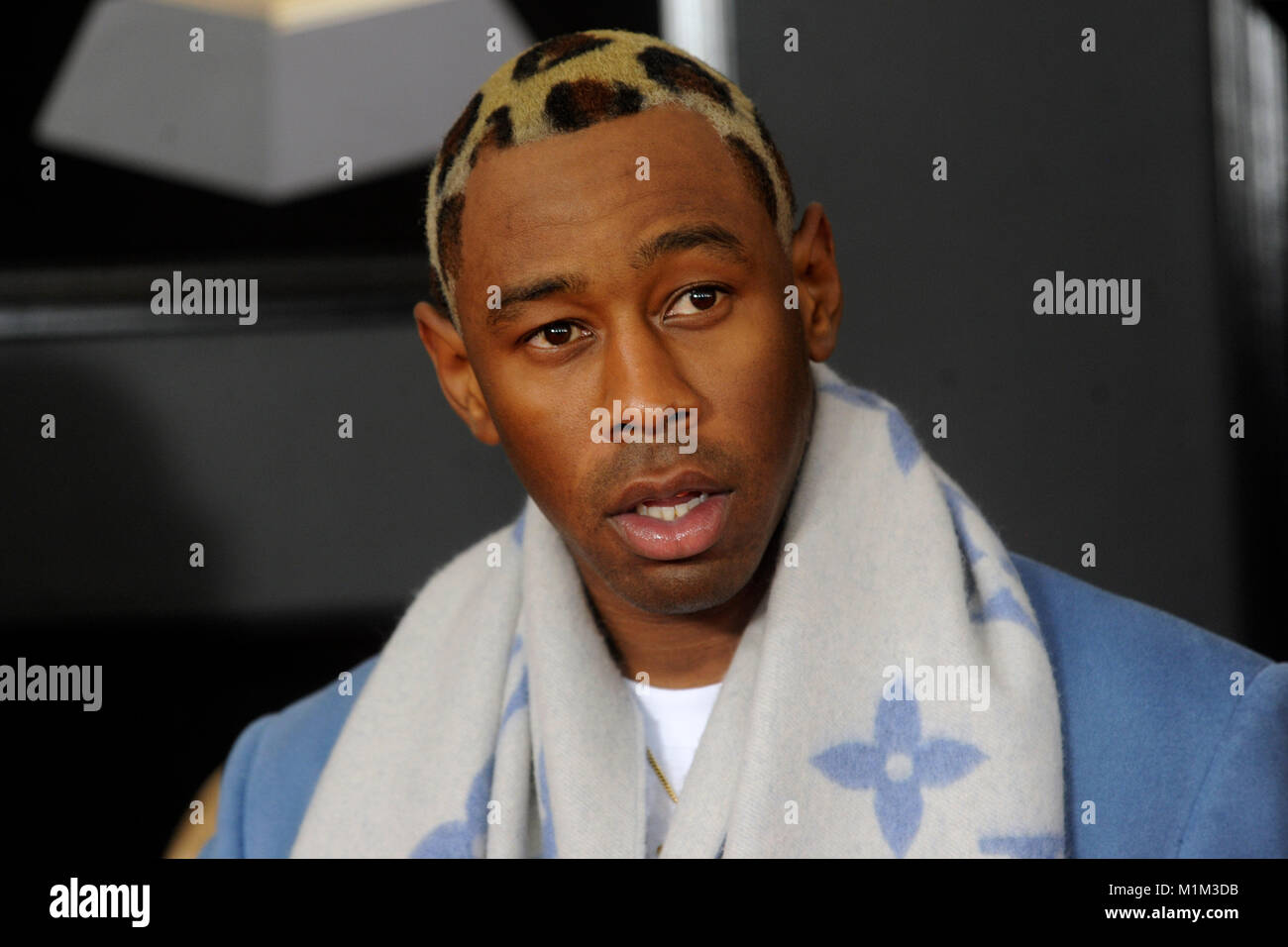Tyler the Creator attends the 60th Annual Grammy Awards 2018 at Madison ...