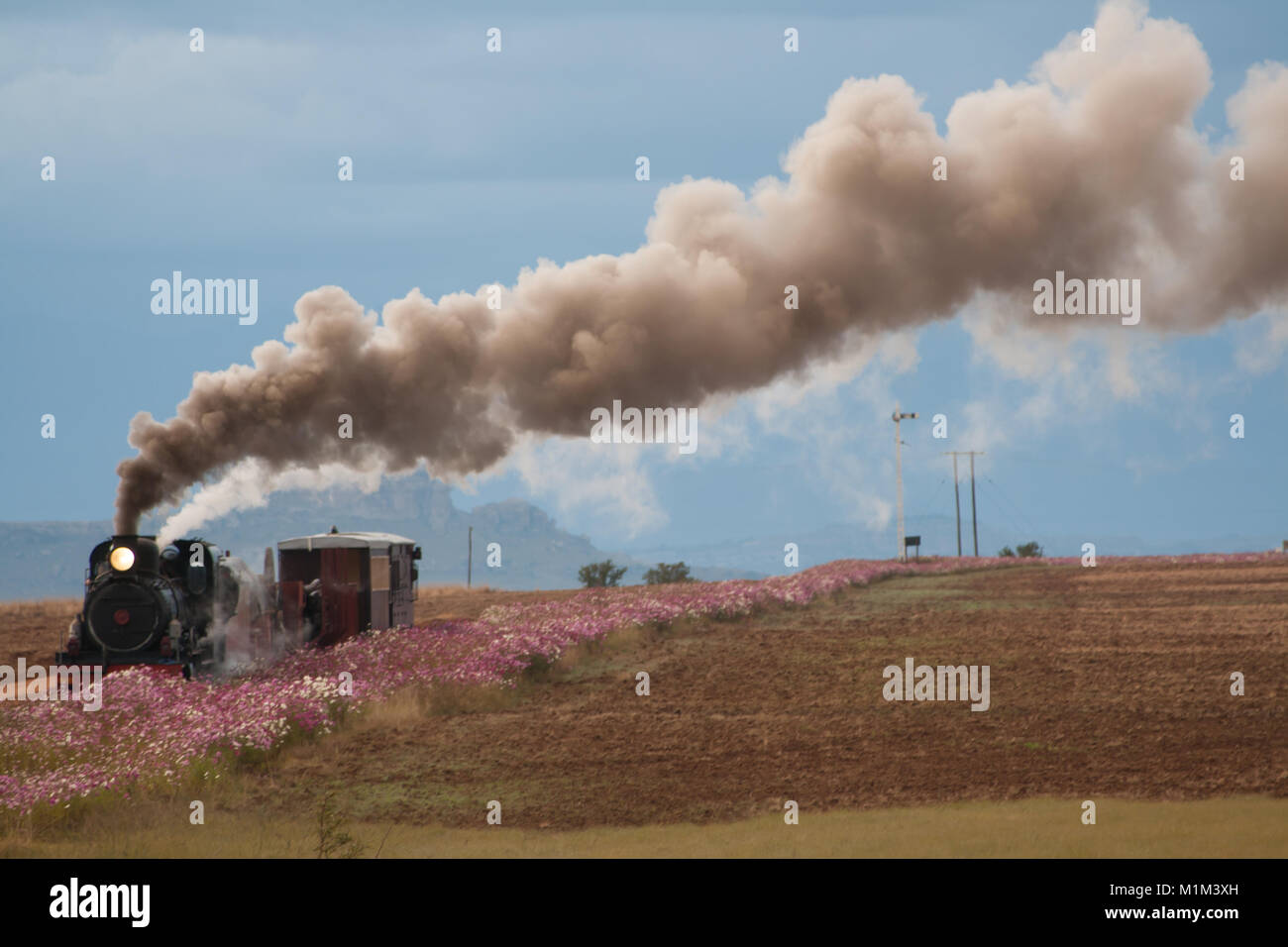 Blowing train hi-res stock photography and images - Alamy
