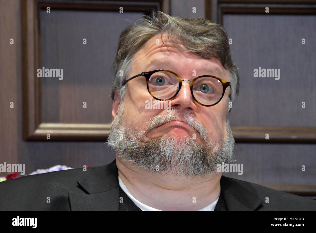 Guillermo del toro house hi-res stock photography and images - Alamy