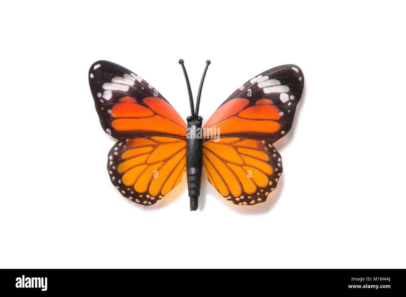 Colourful butterfly isolated on white background Stock Photo - Alamy