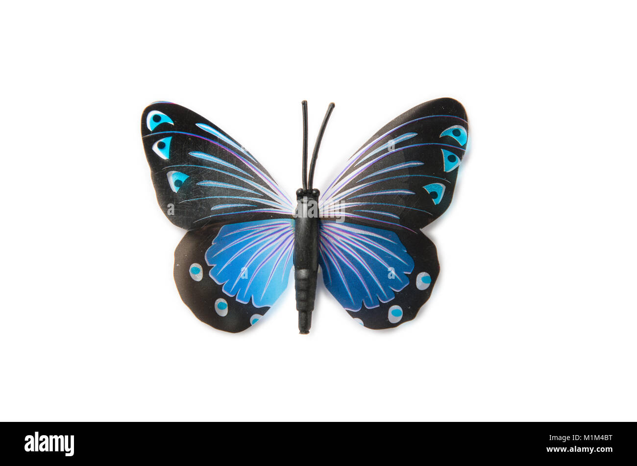 Colourful butterfly isolated on white background Stock Photo - Alamy