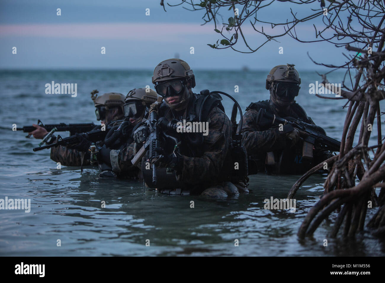 U.S. Marines with Charlie Company, 2d Reconnaissance Battalion, 2d ...