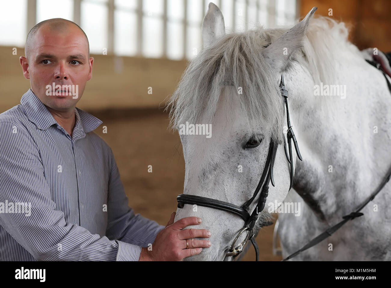People on a horse training in a wooden arena Stock Photo - Alamy