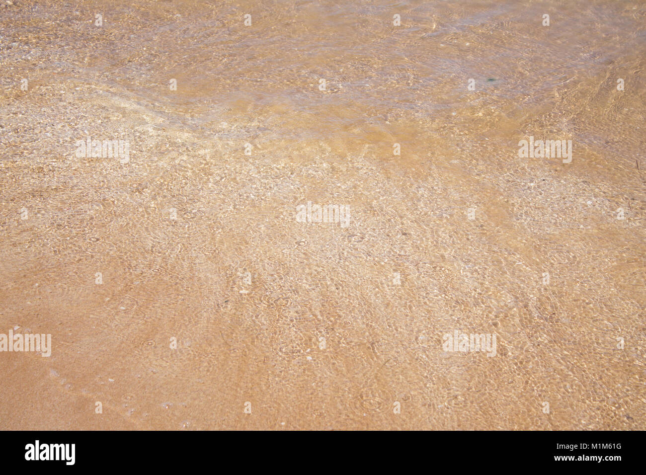 Yellow warm sand and summer sea with sky. Summer beach background Stock ...