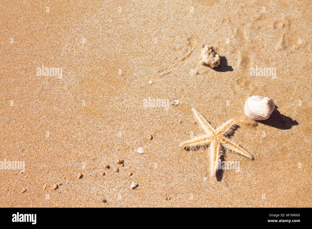 Yellow warm sand and summer sea with sky. Summer beach background Stock ...