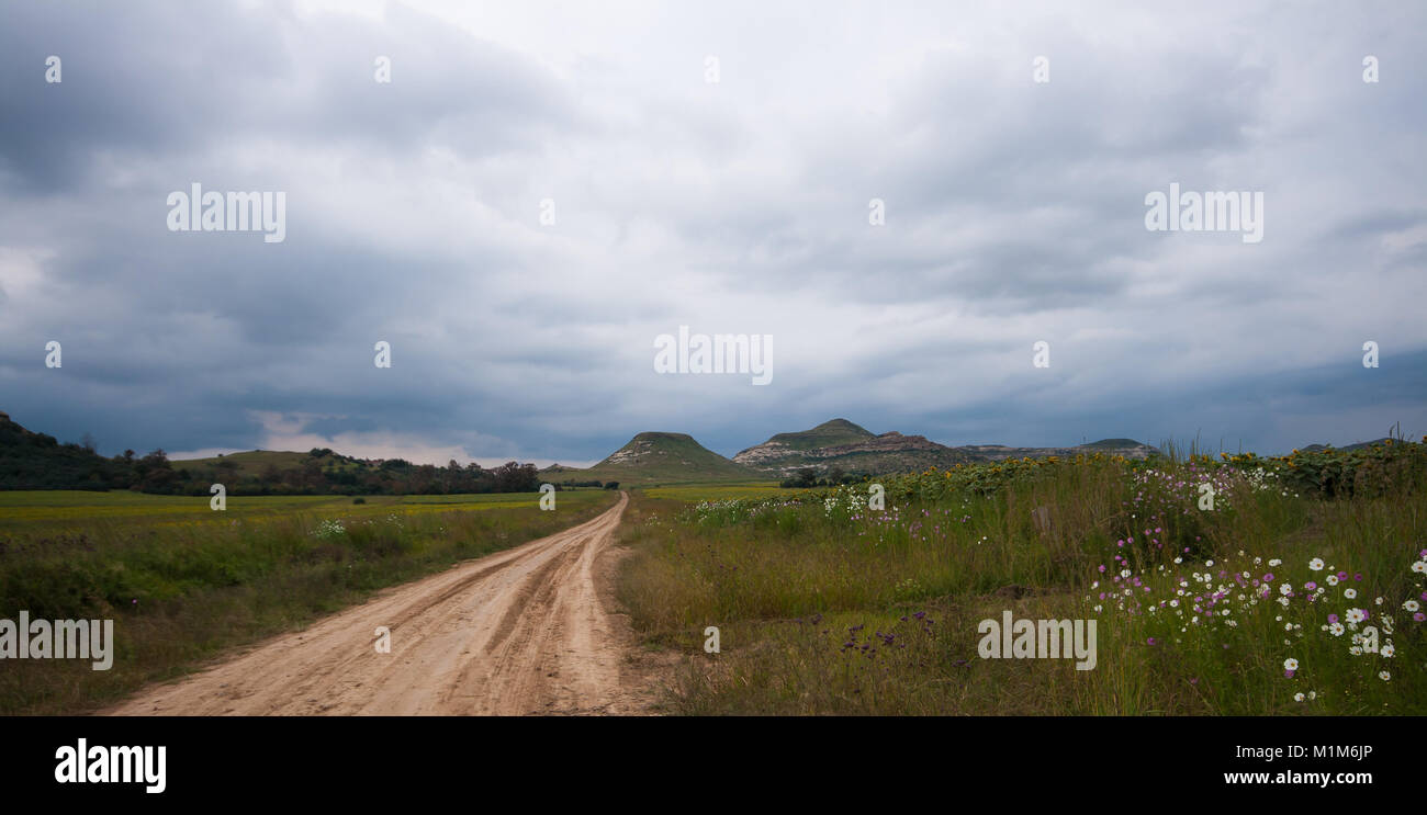 dirt road in the free state south africa Stock Photo - Alamy