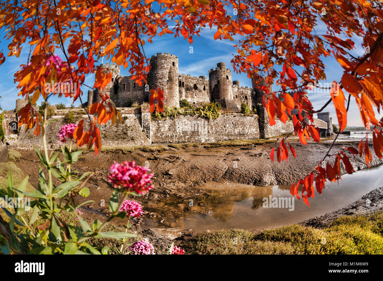 Famous Conwy Castle in Wales, United Kingdom, series of Walesh castles ...