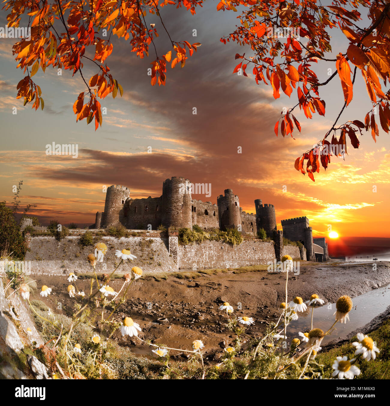 Famous Conwy Castle in Wales, United Kingdom, series of Walesh castles ...