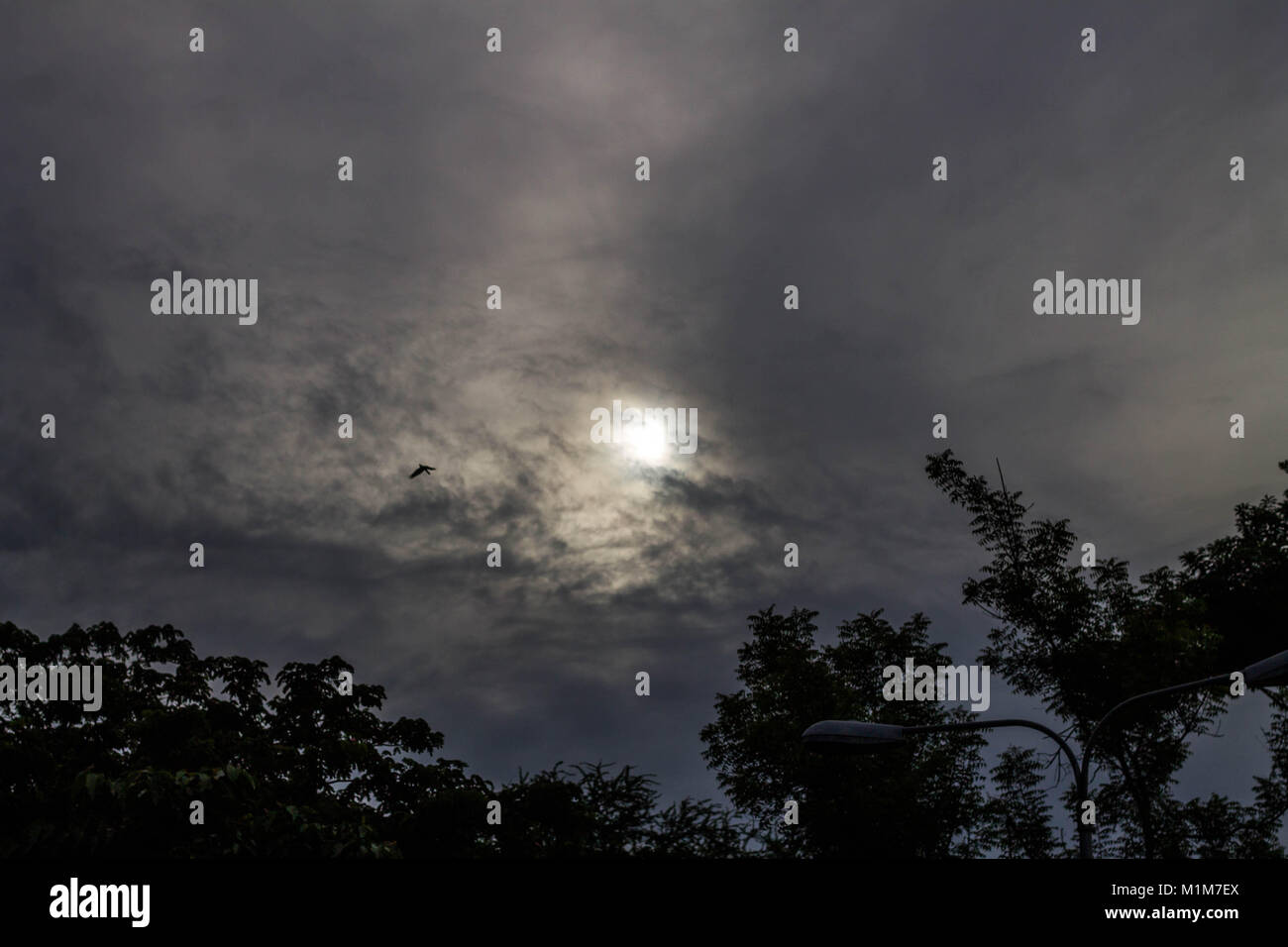 A Part of the Sky Stock Photo - Alamy