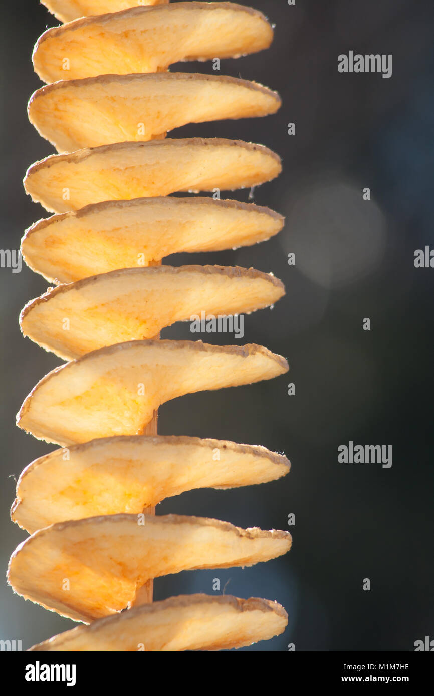 Chip Twister from a market or carnival Stock Photo - Alamy