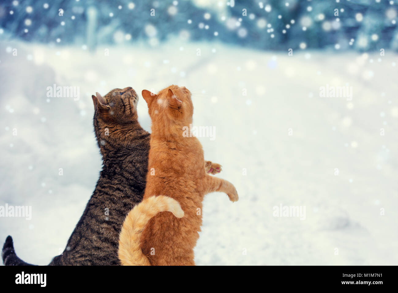 Two hands catch hi-res stock photography and images - Alamy