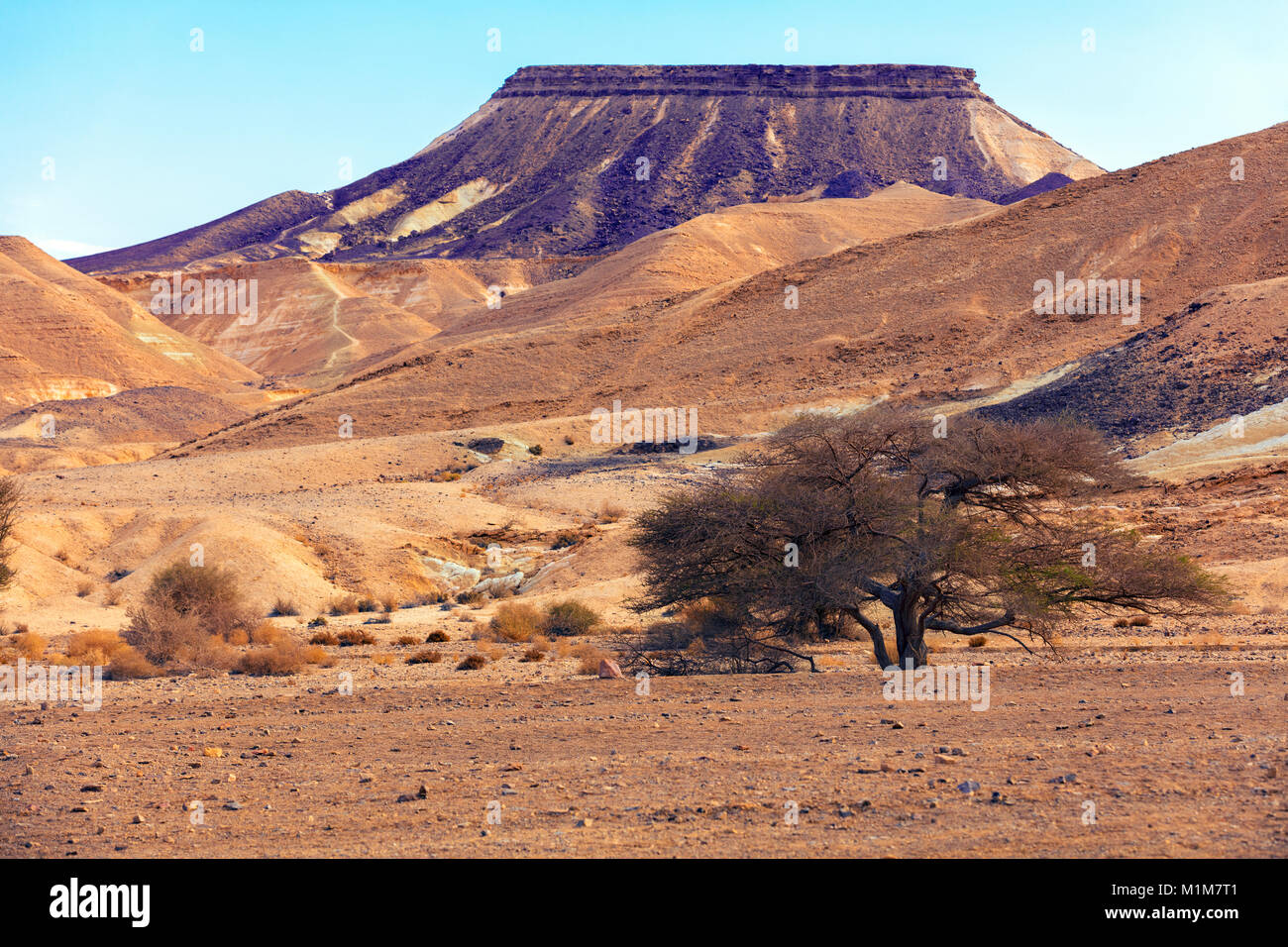 Mountain landscape. Negev desert. Israel Stock Photo - Alamy