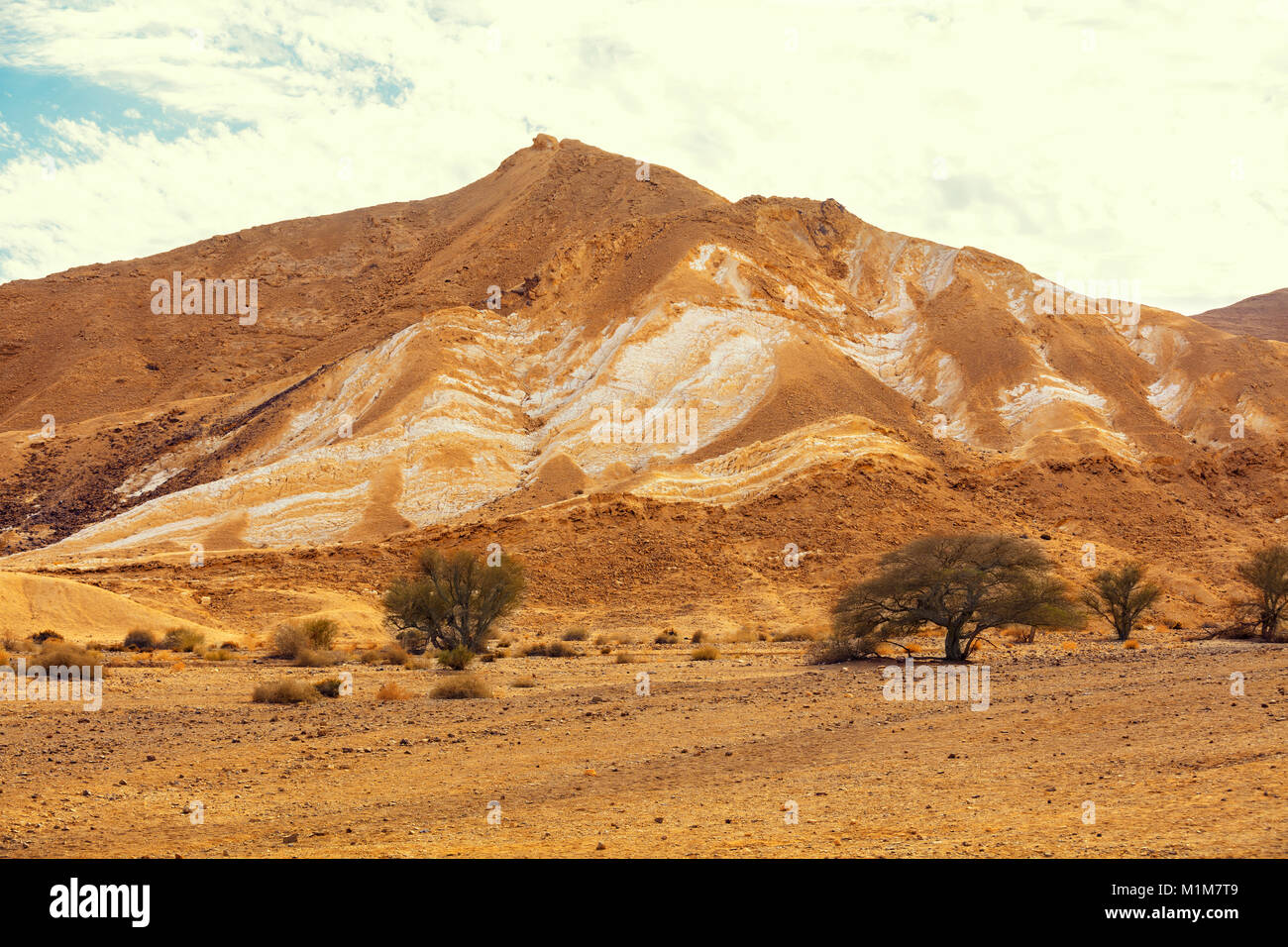Negev desert arid landscape hi-res stock photography and images - Alamy