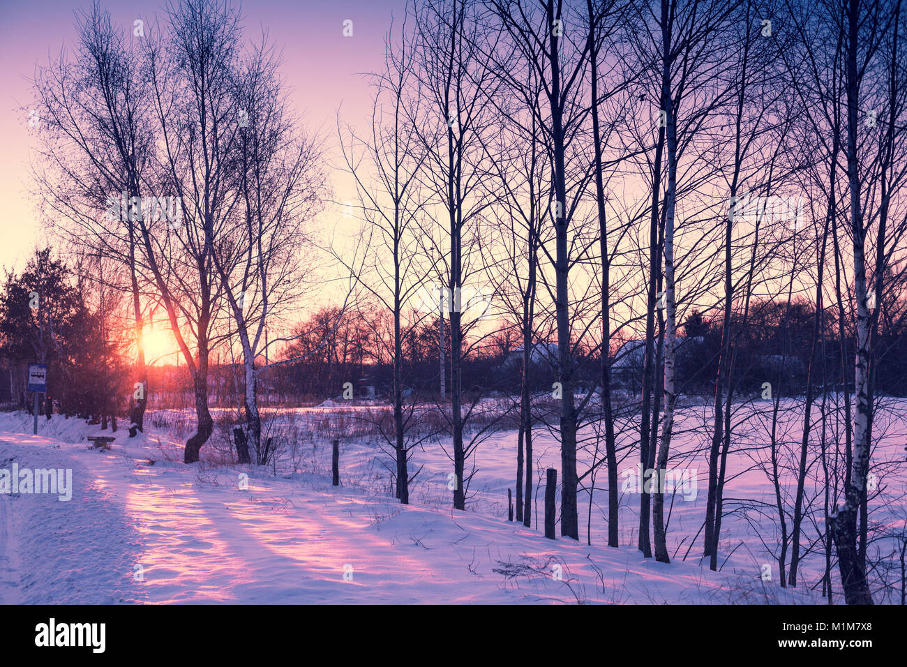 Winter snowy rural landscape at sunset Stock Photo - Alamy