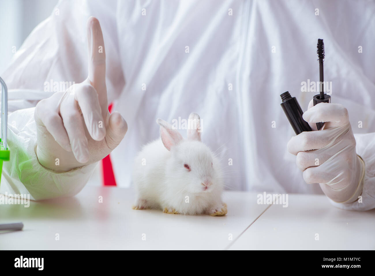 White rabbit in scientific lab experiment Stock Photo - Alamy