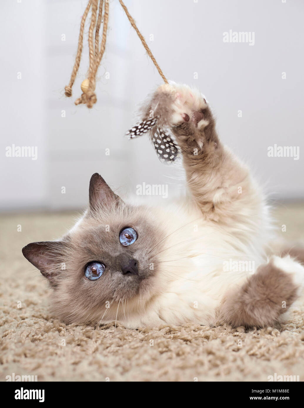 Playing lying hi-res stock photography and images - Alamy