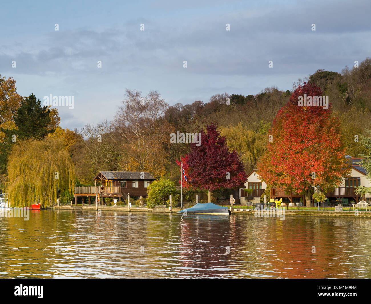 An image capturing the amazing colors of Autumn on the river Thames ...