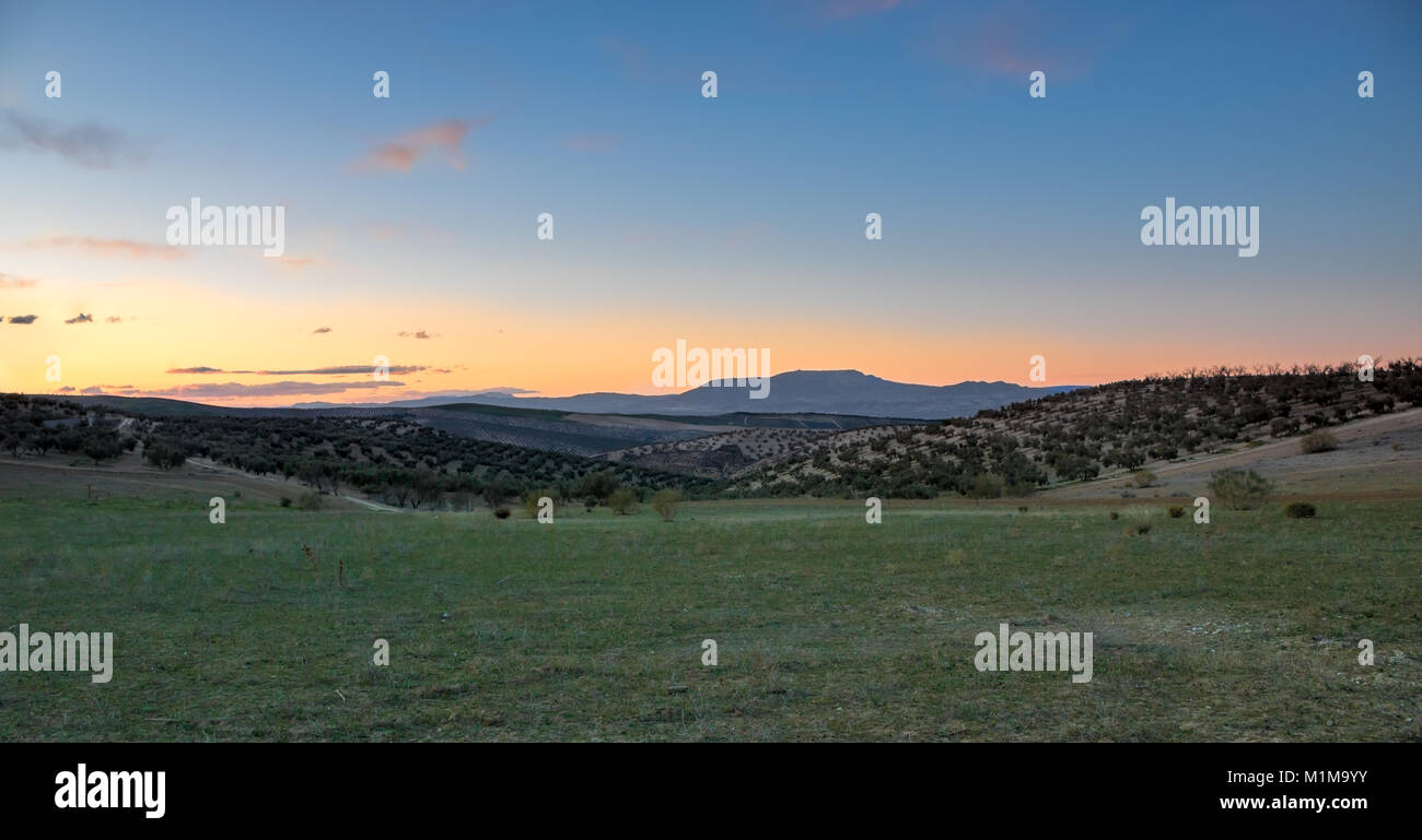 fields at nightfall Stock Photo - Alamy
