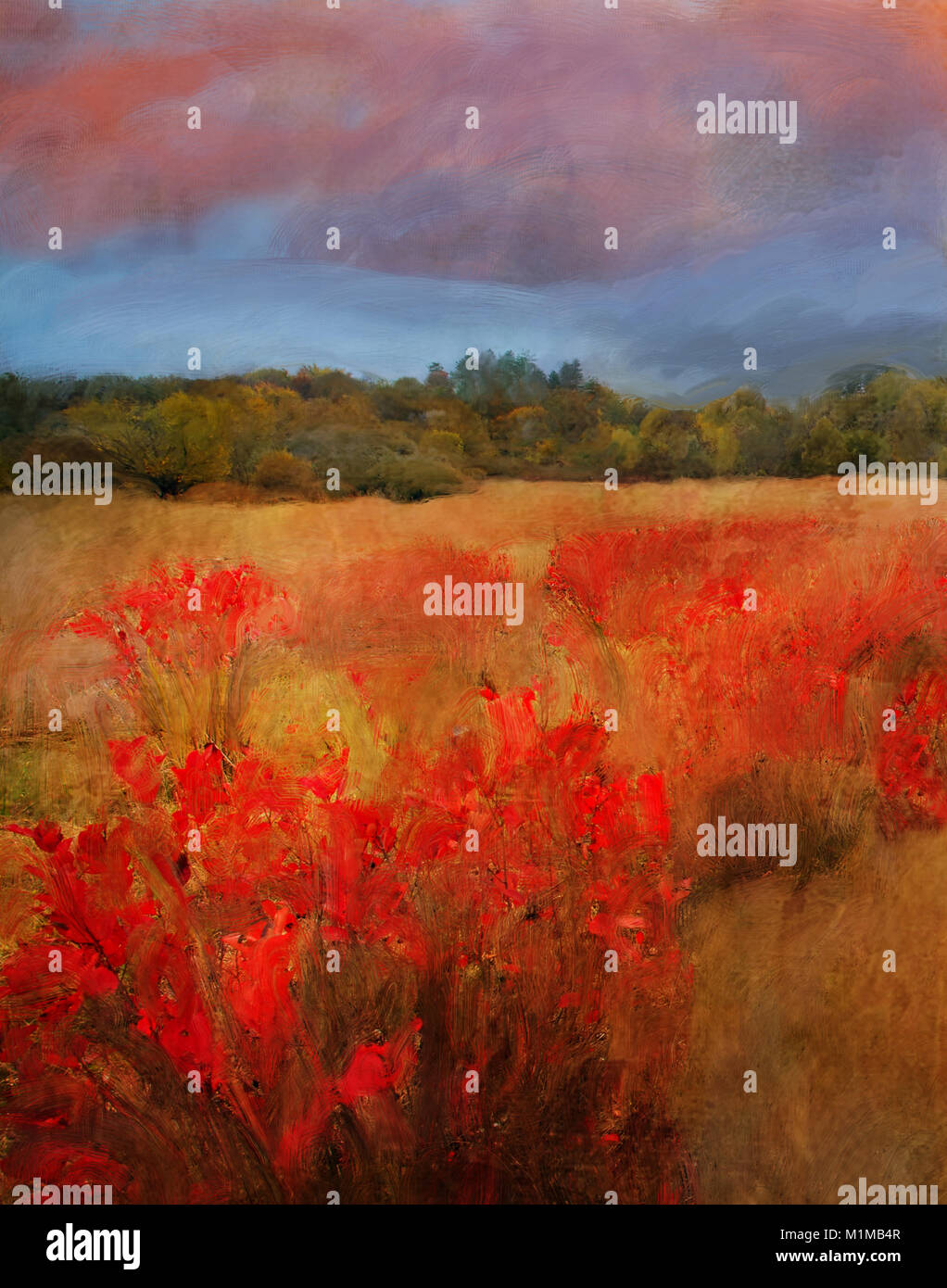 Oil Painting autumn fields and sky, bright red leaves and clouds Stock ...