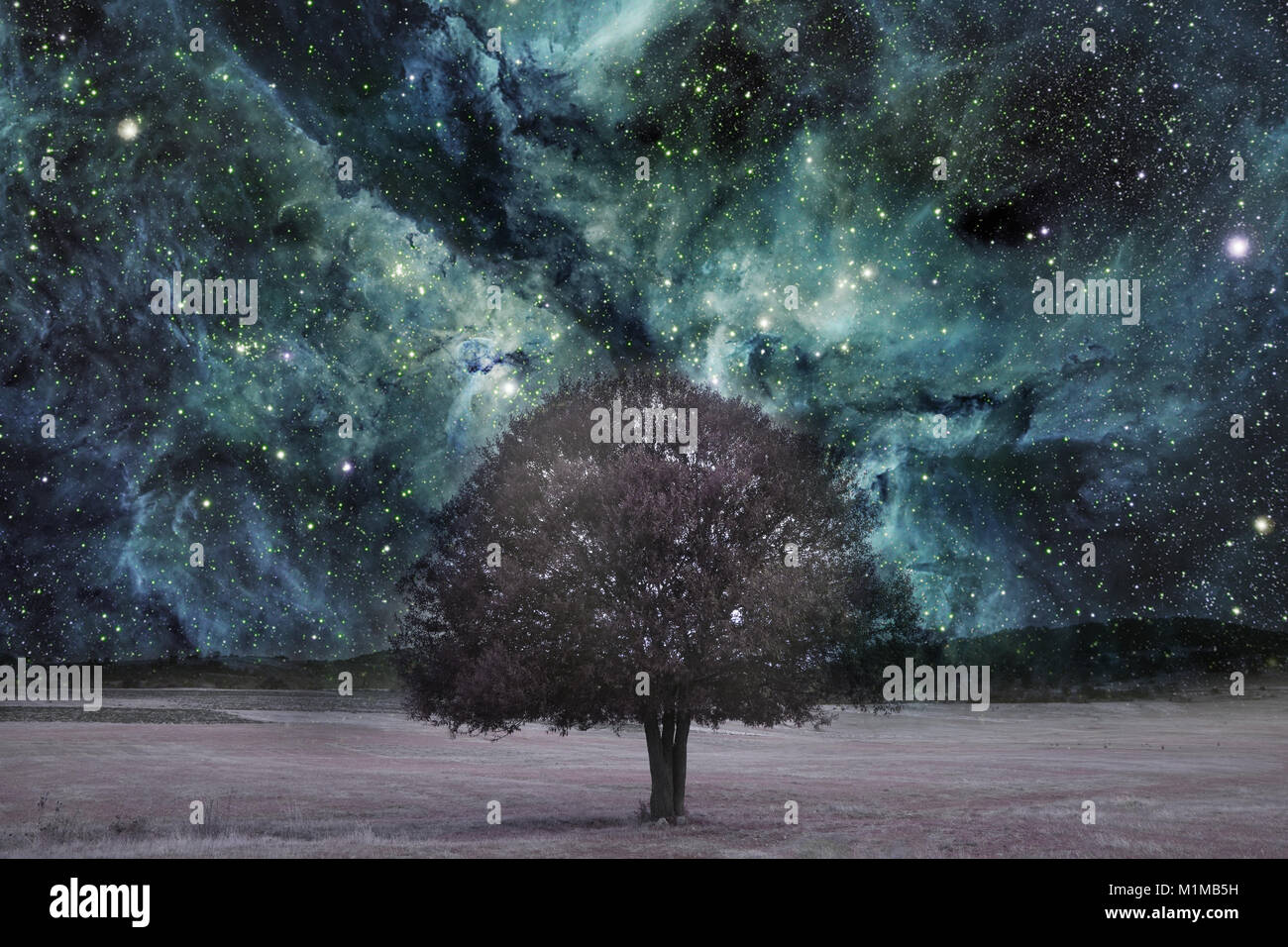 infrared alien landscape with alone tree silhouette over the night sky ...