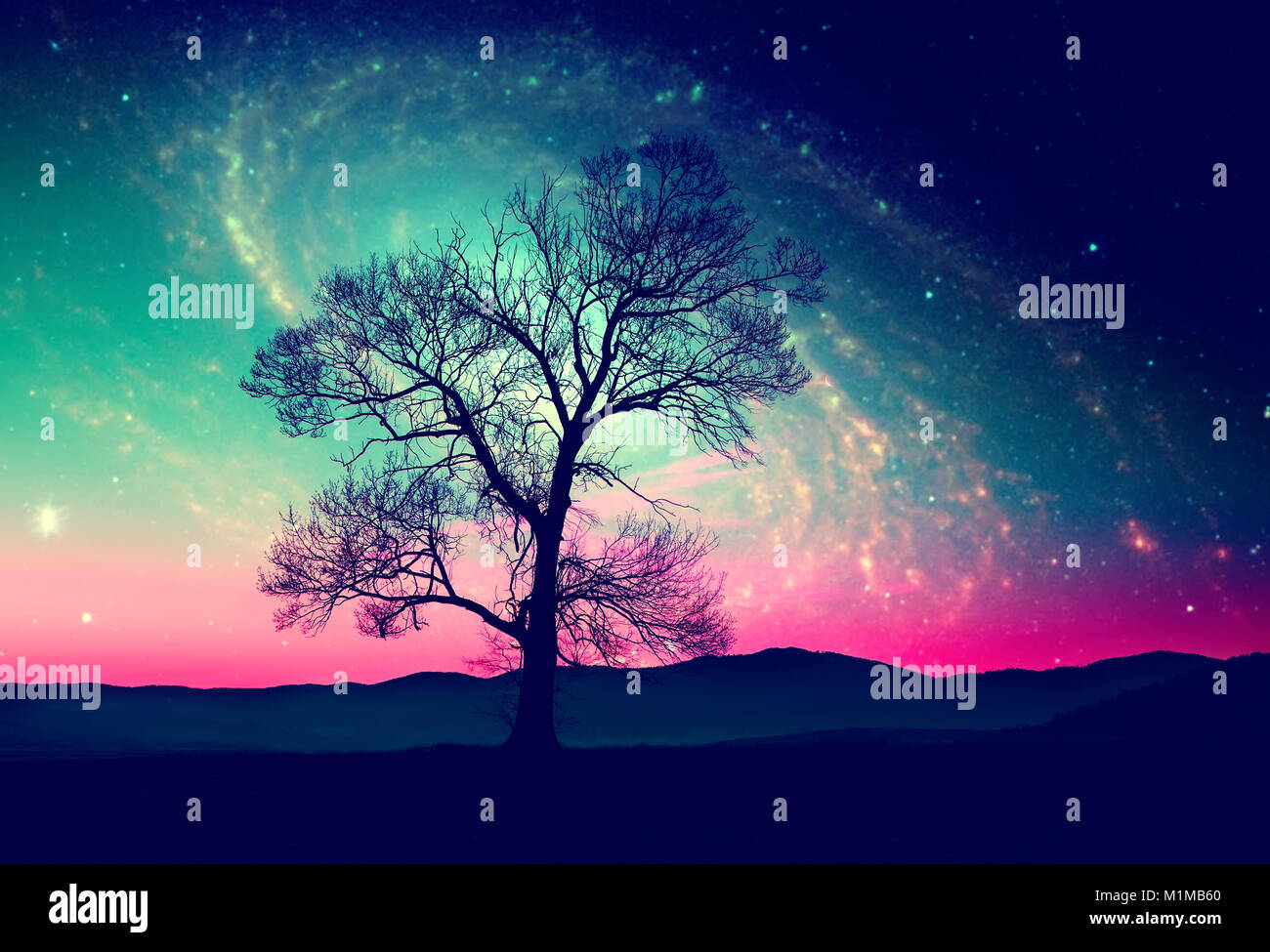 red alien landscape with alone tree over the night sky with many stars ...
