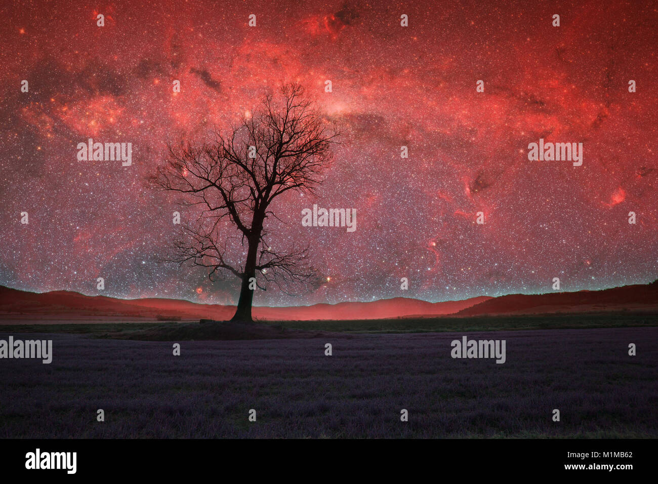 red alien landscape with alone tree silhouette in purple field ...