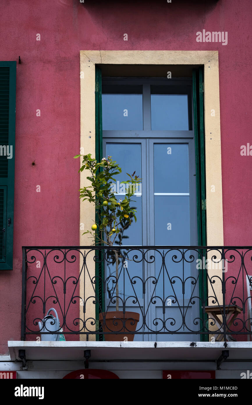 Lemon on tree france hi-res stock photography and images - Alamy