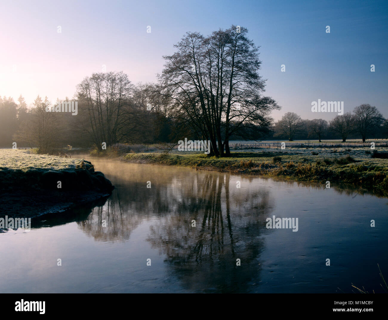 Thursley meadows nature reserve hi-res stock photography and images - Alamy