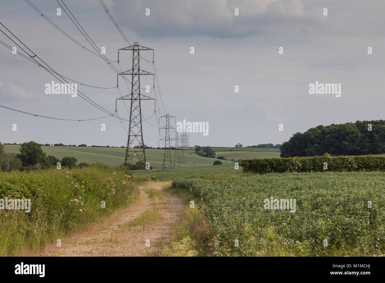An image of electricity pylons that carry power across the countryside ...