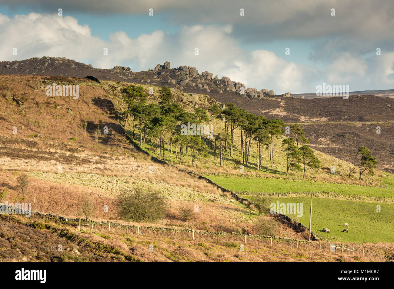Ramshaw Rocks from the access path to "The Roaches Stock Photo - Alamy