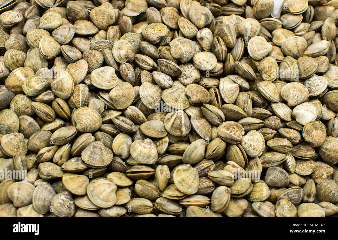 Background of edible raw shellfish shells on the market shelves Stock ...