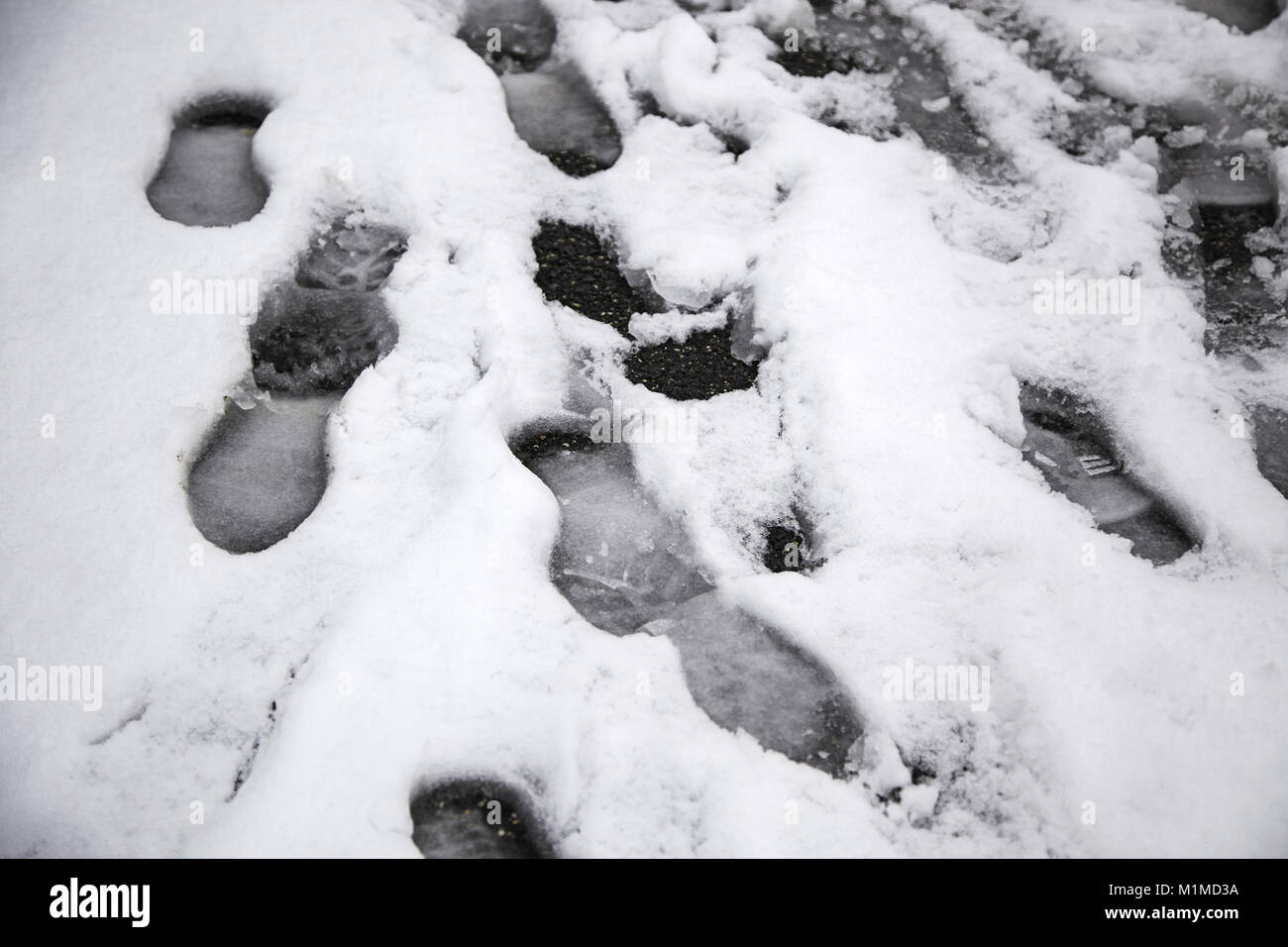 Bigfoot footprint hi-res stock photography and images - Alamy